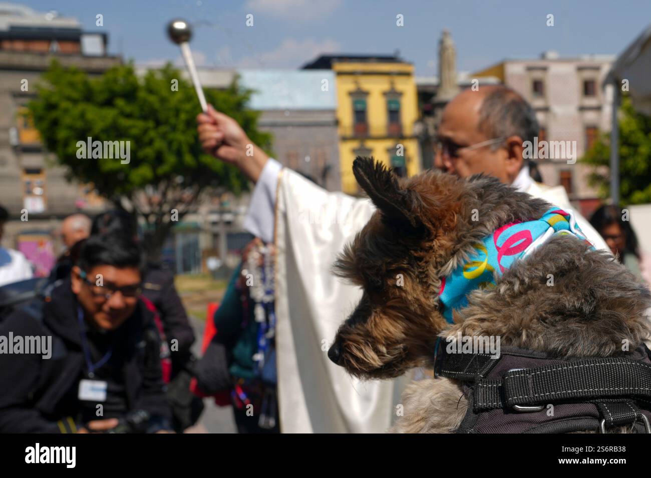 Rev. José Antonio Carballo, rector of the Metropolitan Cathedral ...