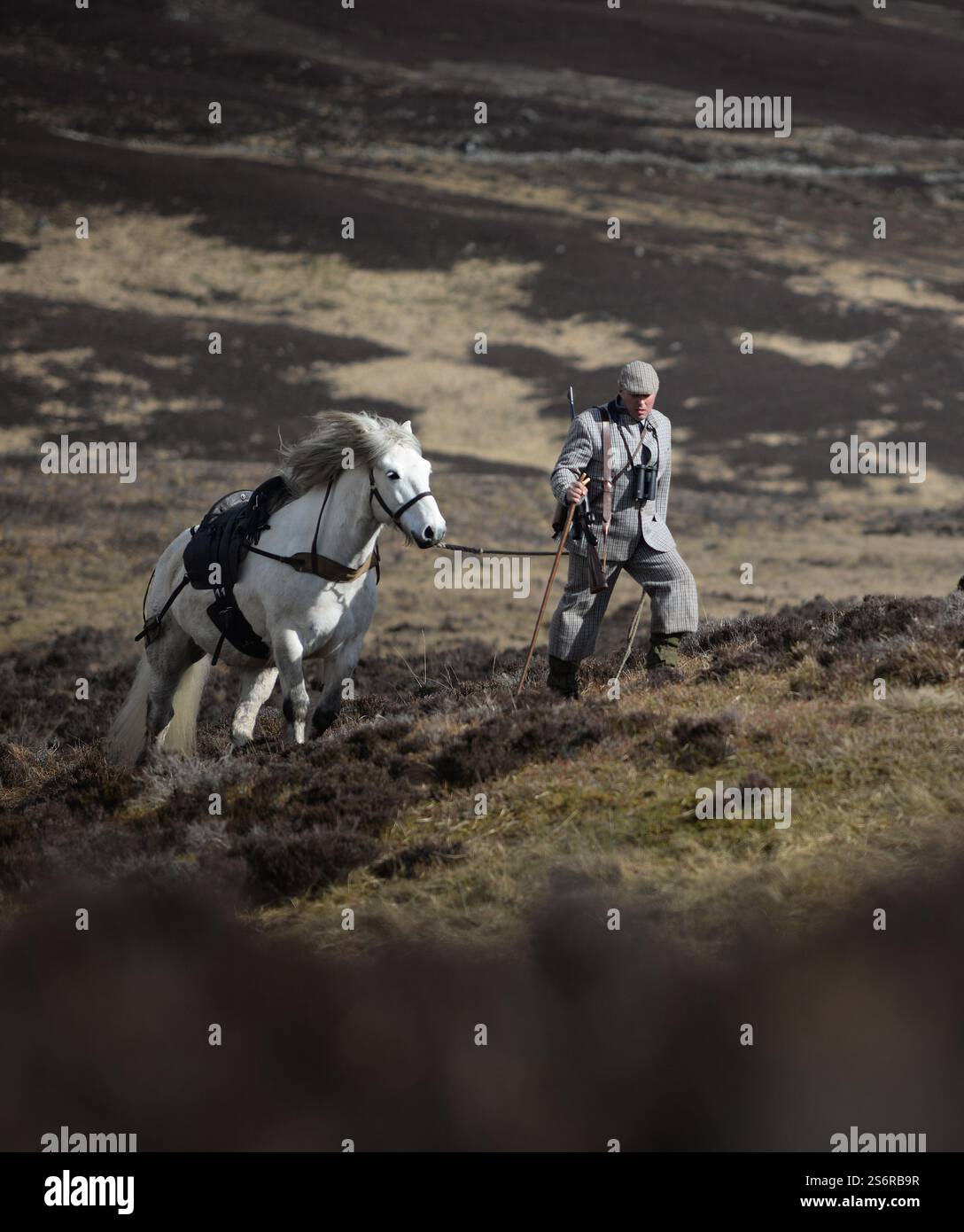 Game keeper on the Blair Atholl with pony which he would use to carry ...