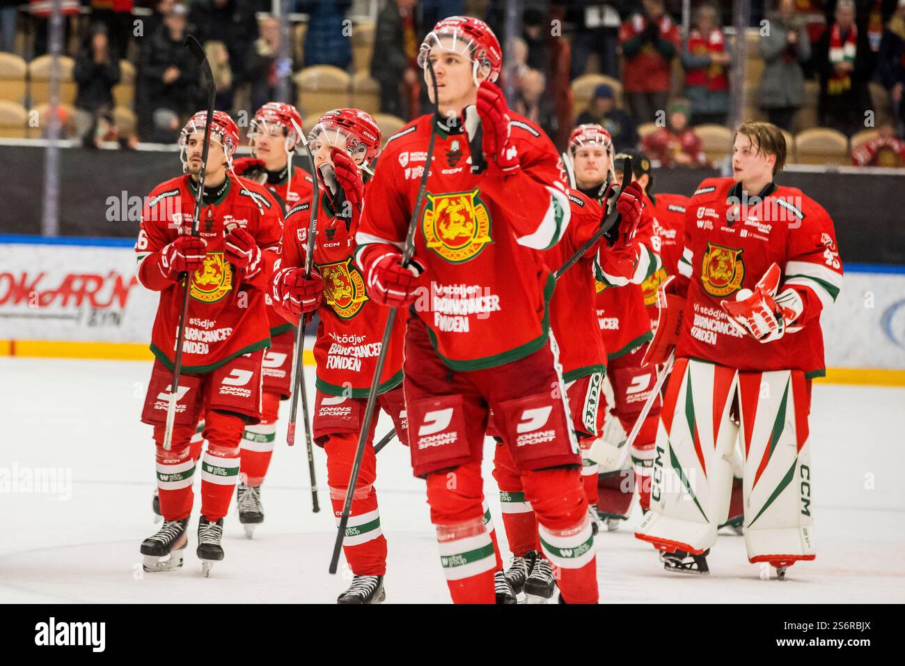 Mora, Sverige. 17th Jan, 2025. 250117 Moras spelarna jublar efter seger under ishockeymatchen i ...