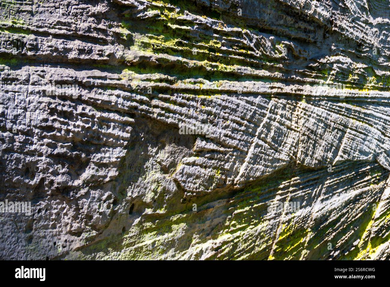 Each showcasing unique textures hi-res stock photography and images - Alamy