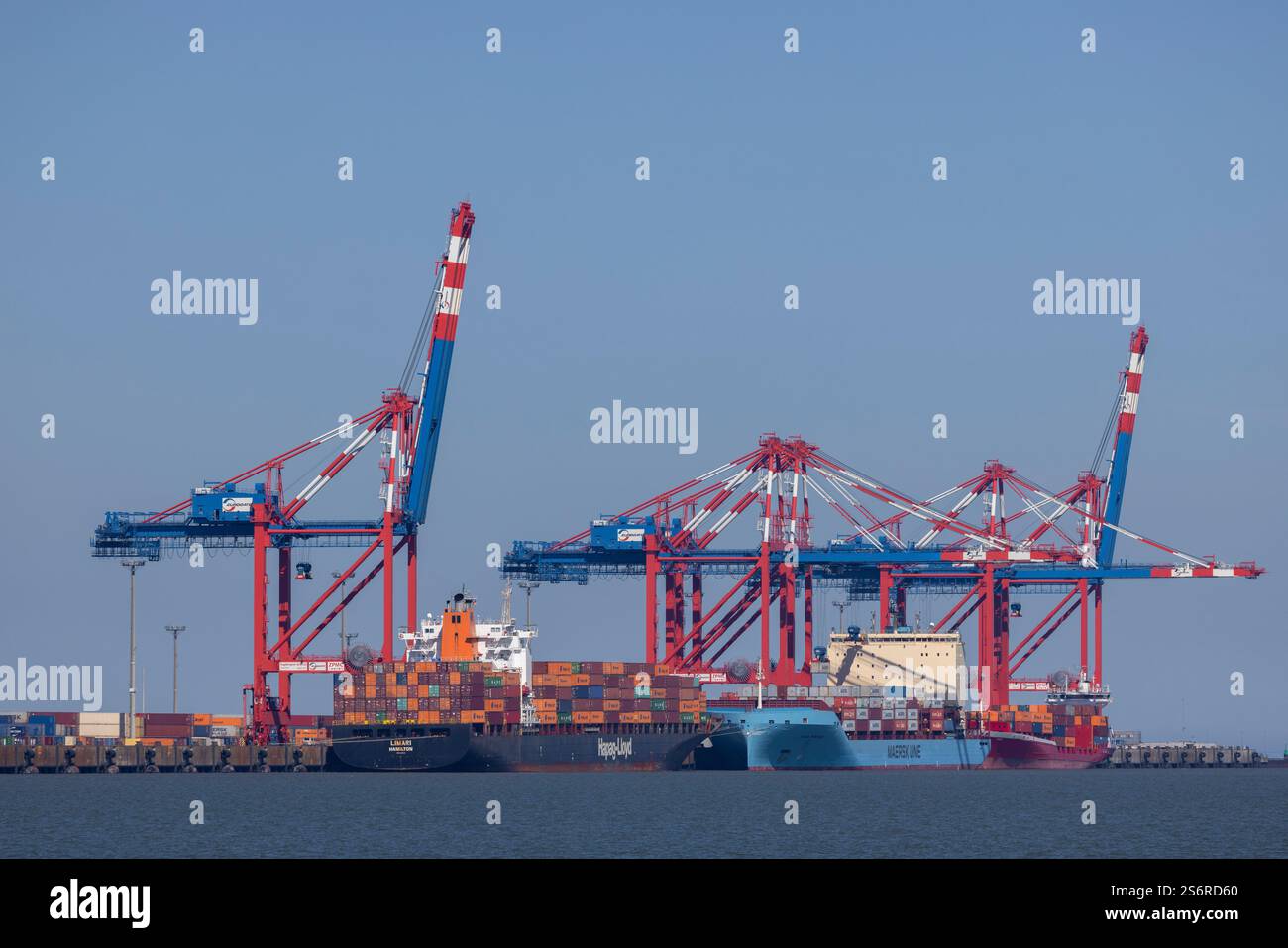 Container ship wega at the container terminal hi-res stock photography ...