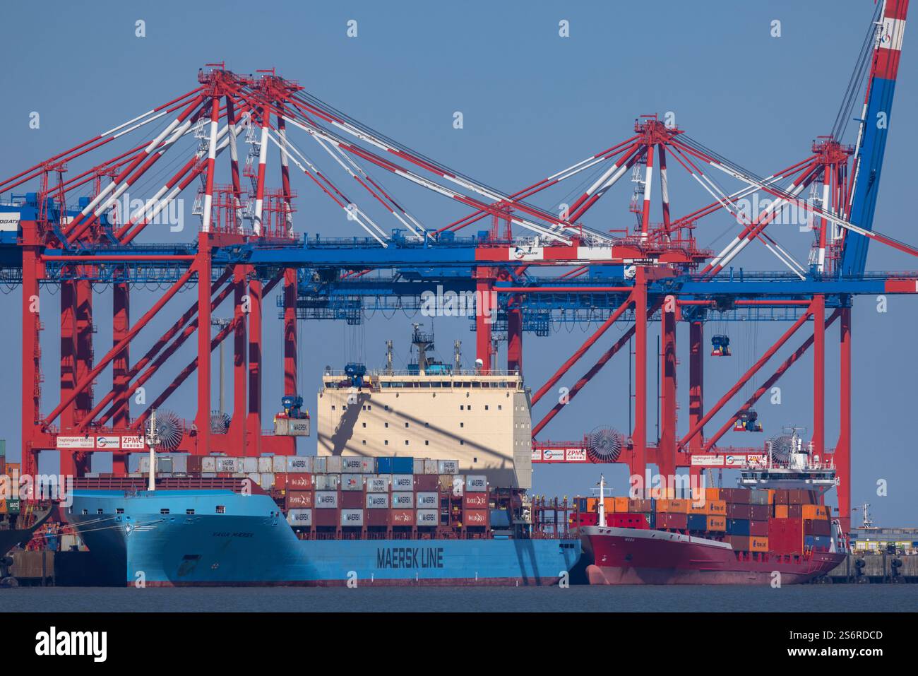 Container ship Vaga Maersk and Wega at the container terminal ...