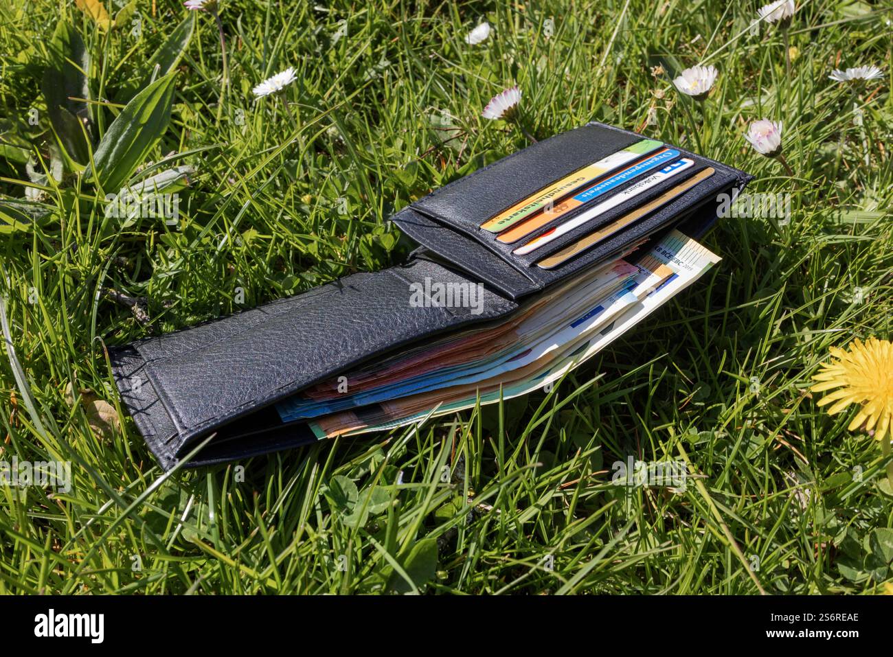 Wallet filled papers hi-res stock photography and images - Alamy