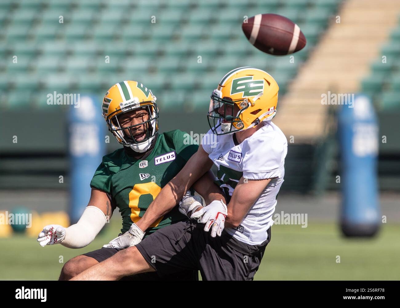Edmonton Elks Loucheiz Purifoy (0) and Gavin Cobb (85) vie for the ball ...