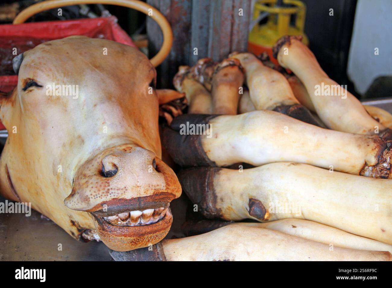 Cow's head and trotters for sale at Chow Kit Market in Kuala Lumpur ...