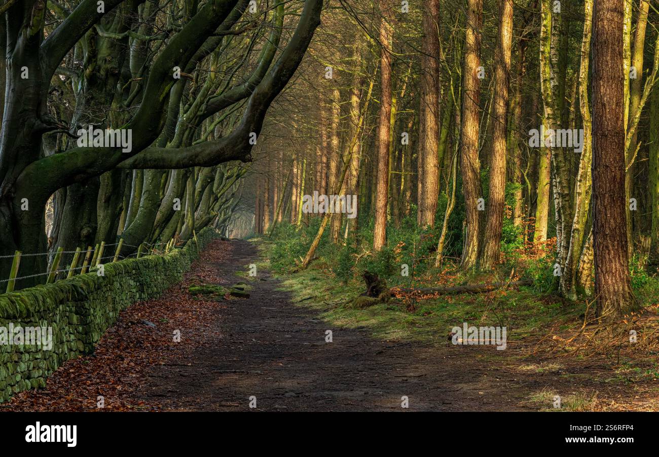 Upper moor hi-res stock photography and images - Alamy