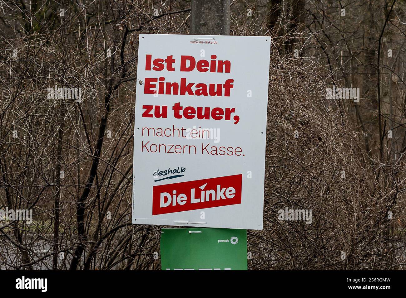 Muenchen GER, Themenbild, Wahlplakate zur Bundestagswahl in Deutschland ...
