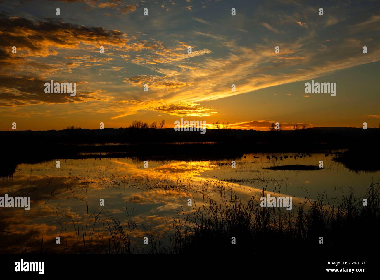 Sunset, Colusa National Wildlife Refuge, California Stock Photo - Alamy