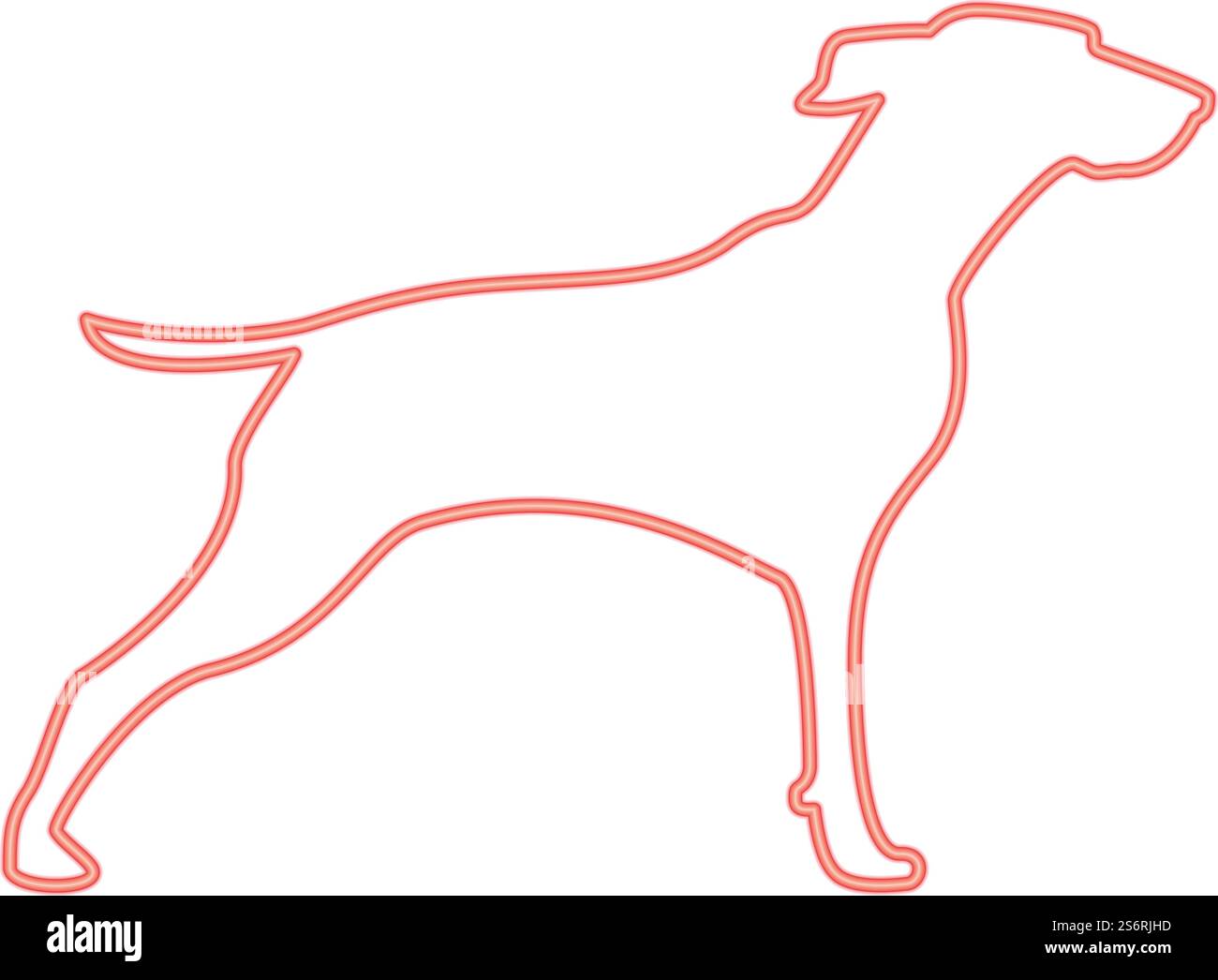 Neon hunter dog or gundog red color vector illustration image flat ...