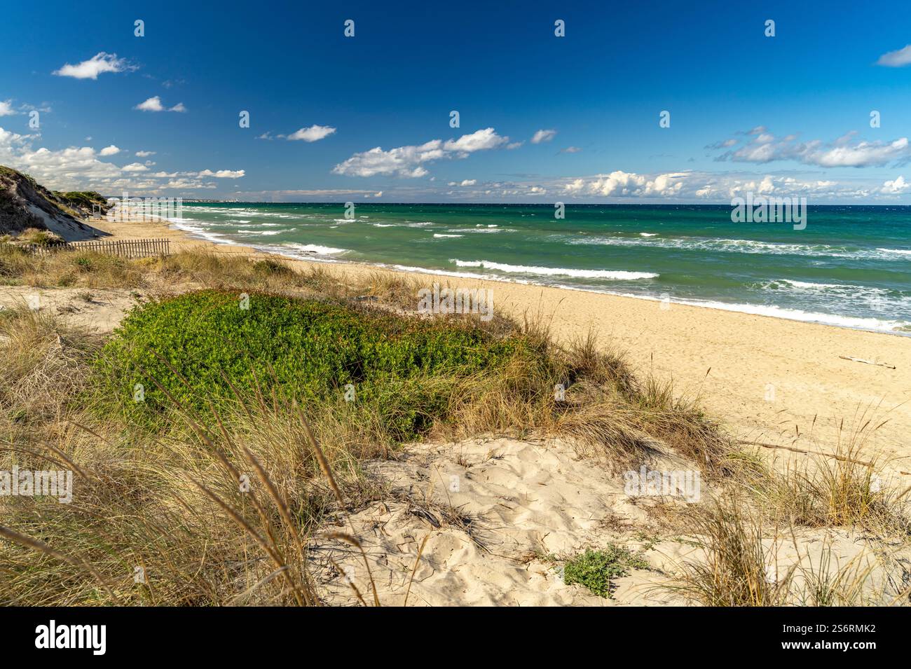 On the beach Spiaggia di Pilone, Ostuni, Apulia, Italy, Europe Stock ...