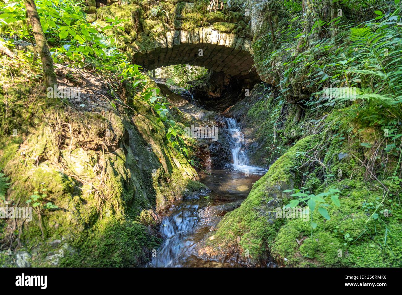 Historic stone bridge over the Gottschlägbach near Ottenhöfen in the ...