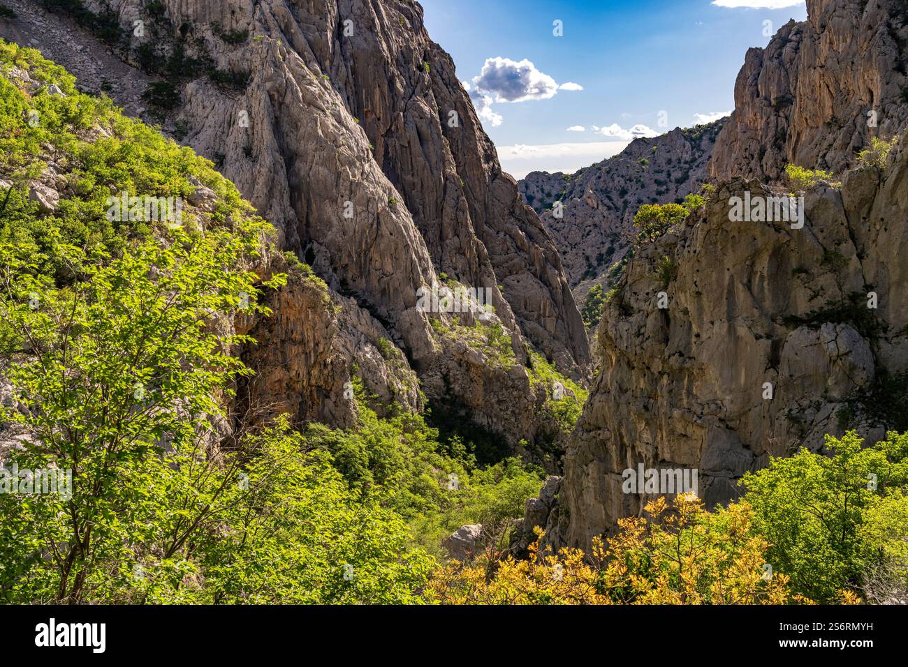 The Velika Paklenica Gorge in Paklenica National Park, Croatia, Europe ...
