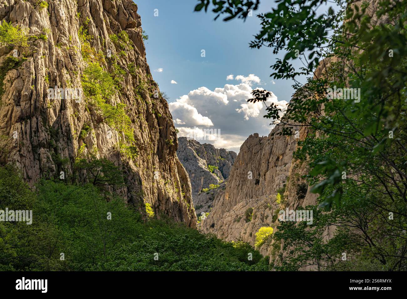 The Velika Paklenica Gorge in Paklenica National Park, Croatia, Europe ...