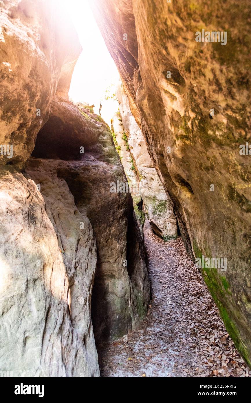 A narrow passageway through sandstone rocks reveals a peaceful pathway ...