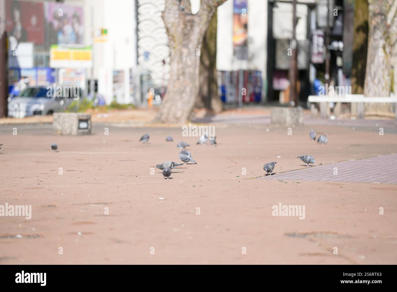 Deserted park in Sakae, Naka-ku, Nagoya, Aichi Prefecture Stock Photo ...
