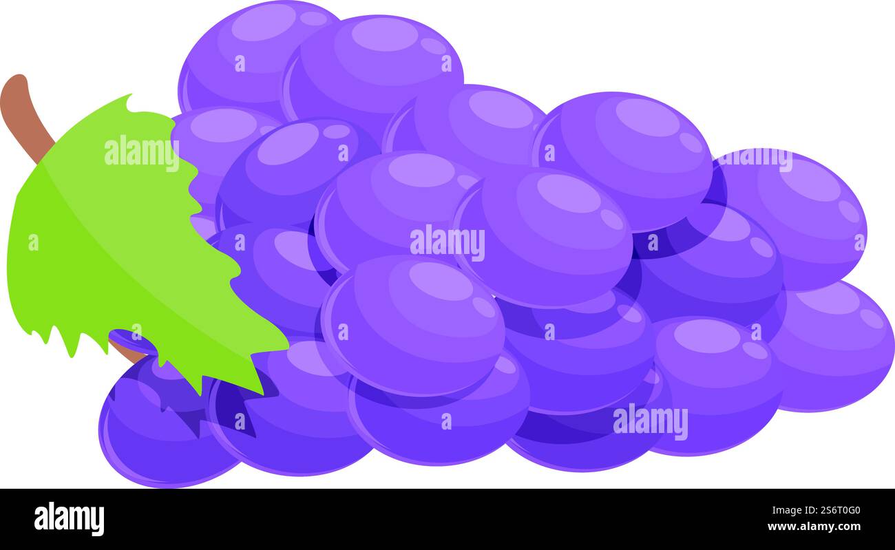 Red grapes icon cartoon vector. Taste summer. Holding woman. Red grapes ...