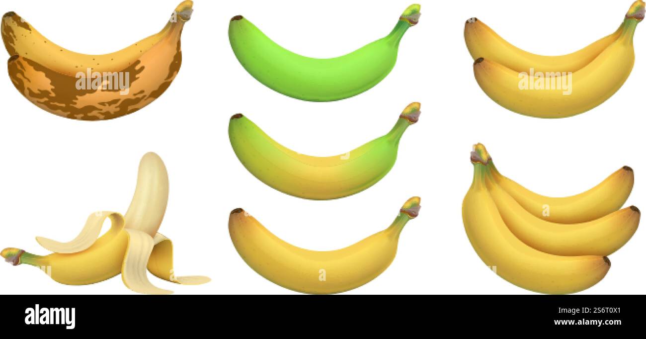 Isolated realistic banana. Tropical bananas, exotic fruits. Ripeness ...