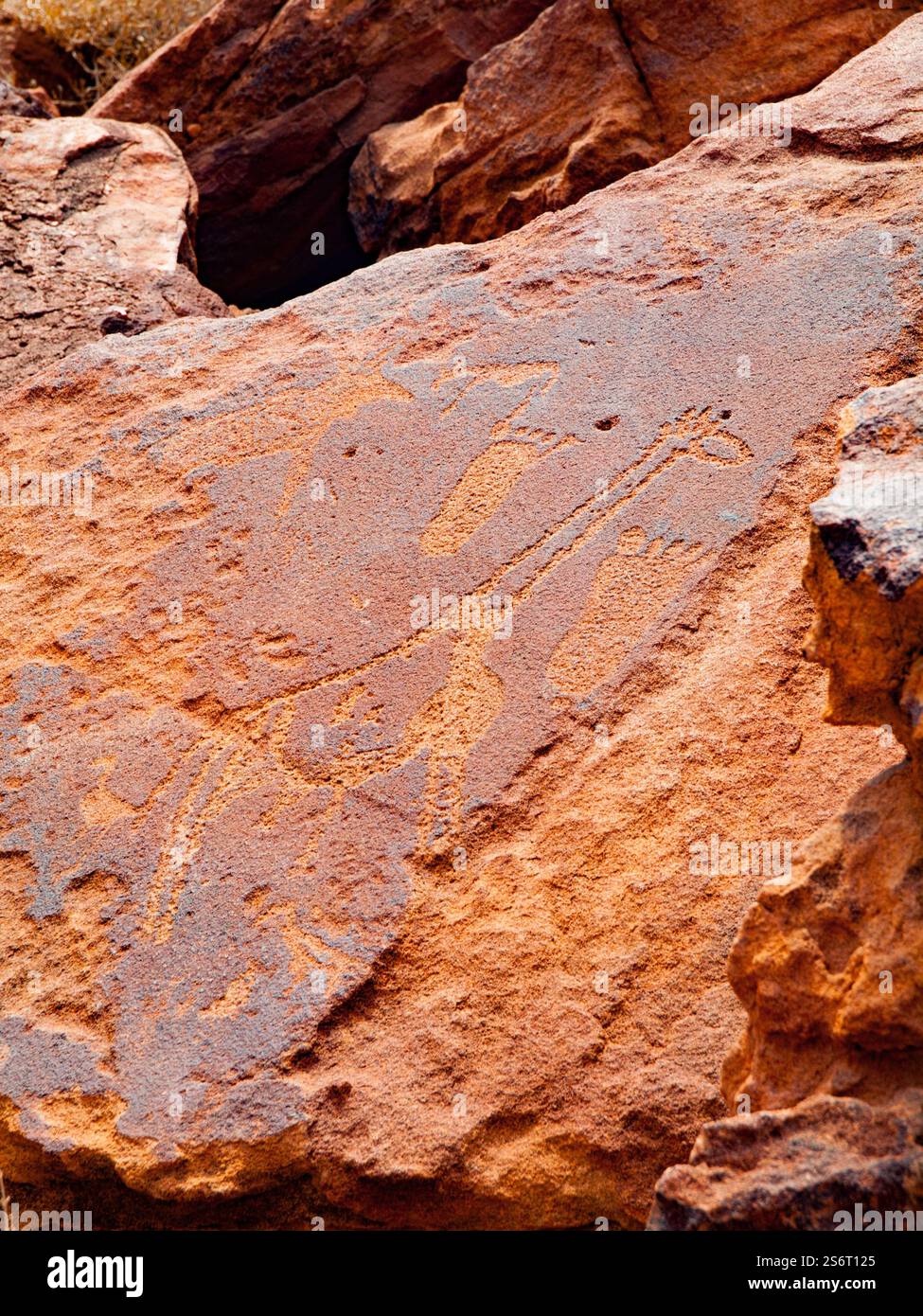 The weathered rock showcases intricate Bushman engravings, depicting ...