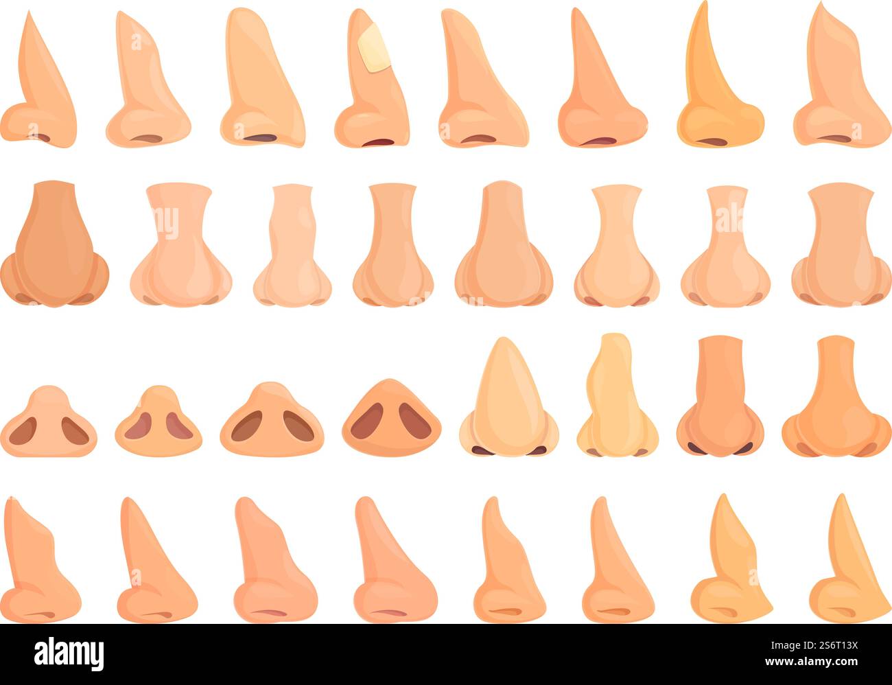 Rhinoplasty icon cartoon vector. Human nose. Closed adjustment ...