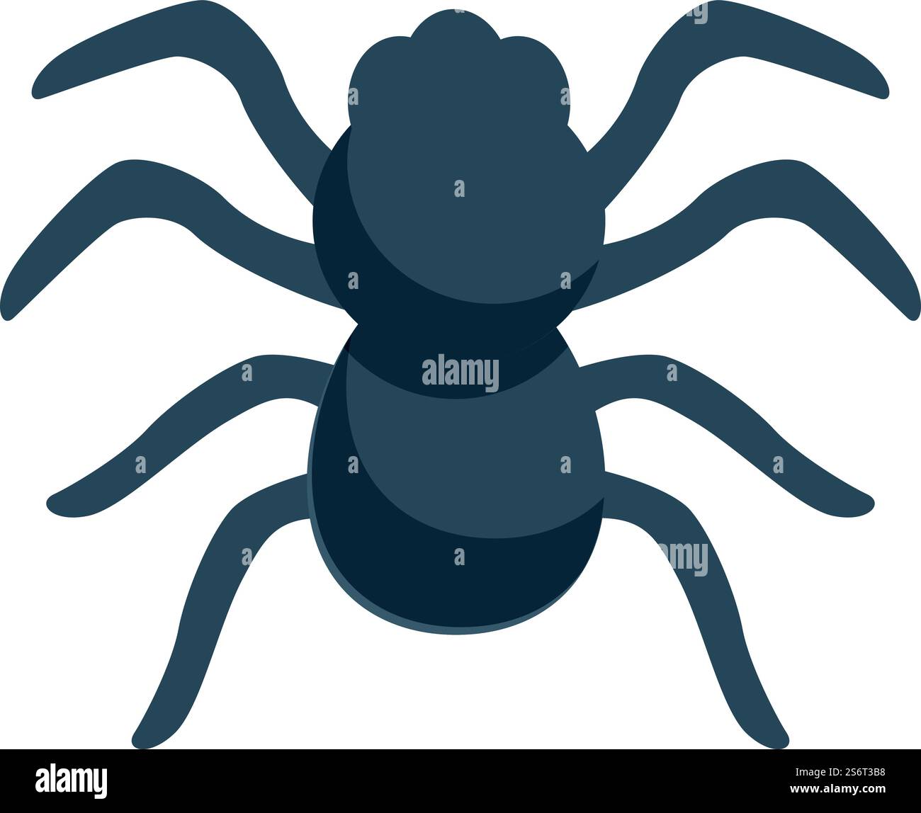 Spider bug icon cartoon vector. Widow animal. Bite spider. Spider bug ...