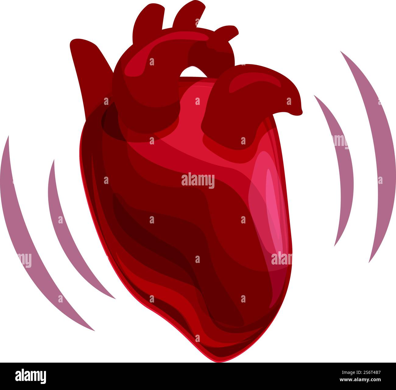 Human heart icon cartoon vector. Medical organ. Cardiac anatomy. Human ...