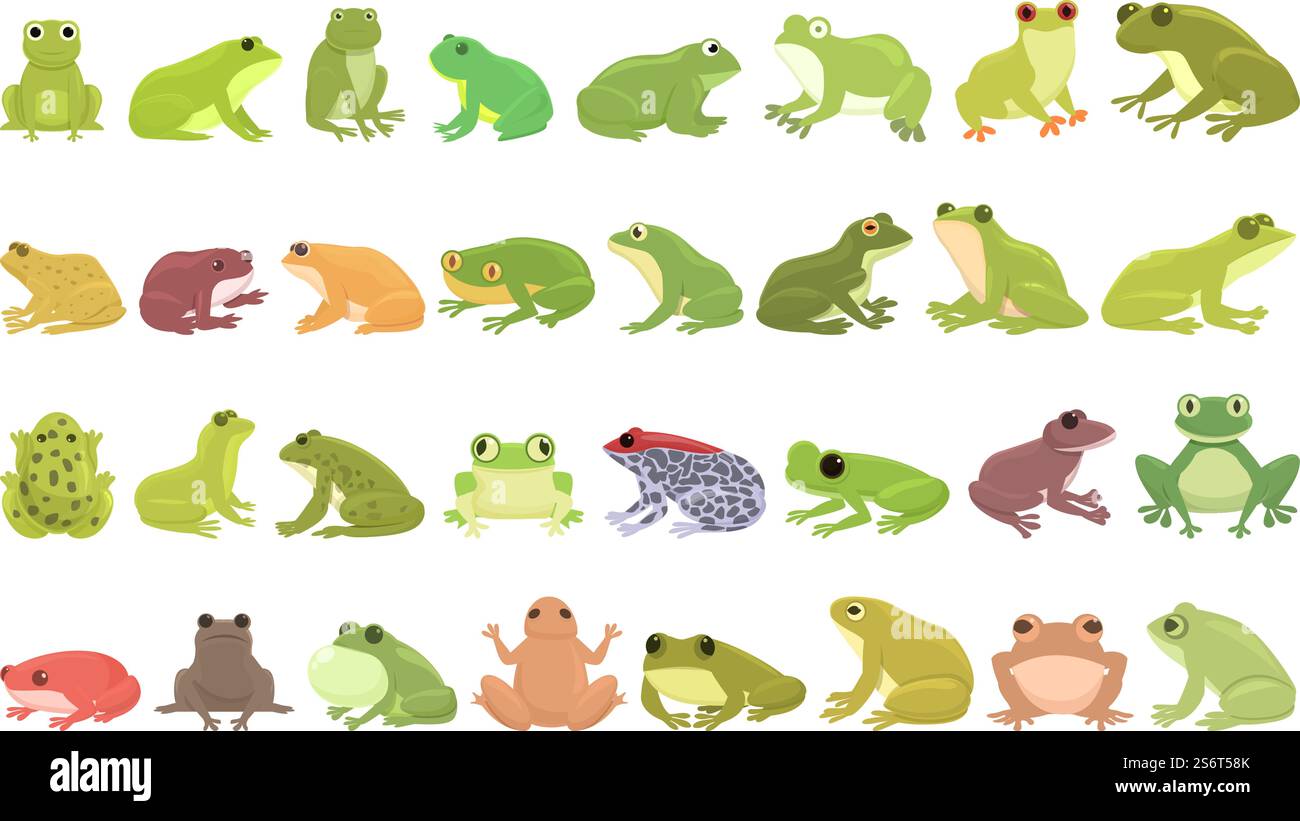 Frog icons set cartoon vector. Toad water. Tadpole catch. Frog icons ...