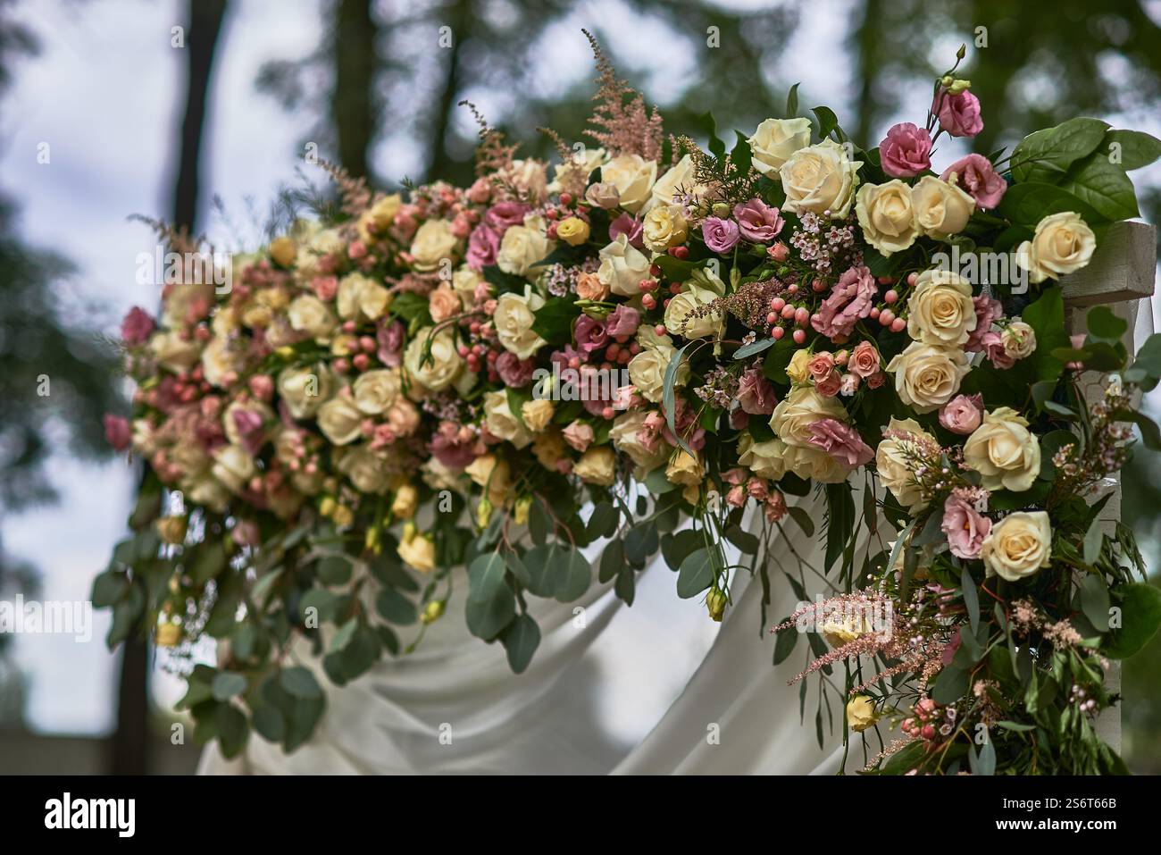 Exquisite arch adorned with roses, leaves, and flowing fabric, forming ...