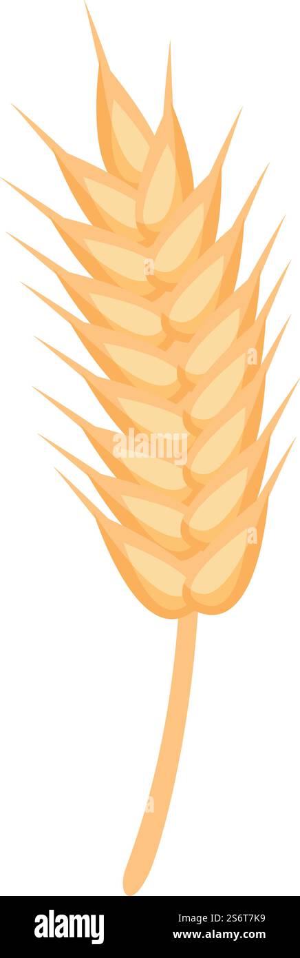Wheat zn nutrition icon cartoon vector. Food vitamin. Mineral suplemet ...