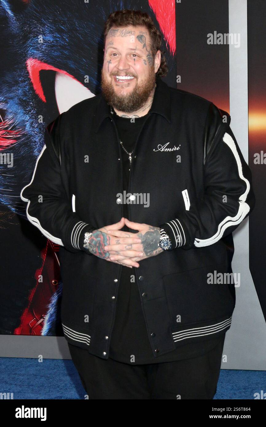 Sonic the Hedgehog 3 LA Premiere at TCL Chinese Theater IMAX on ...