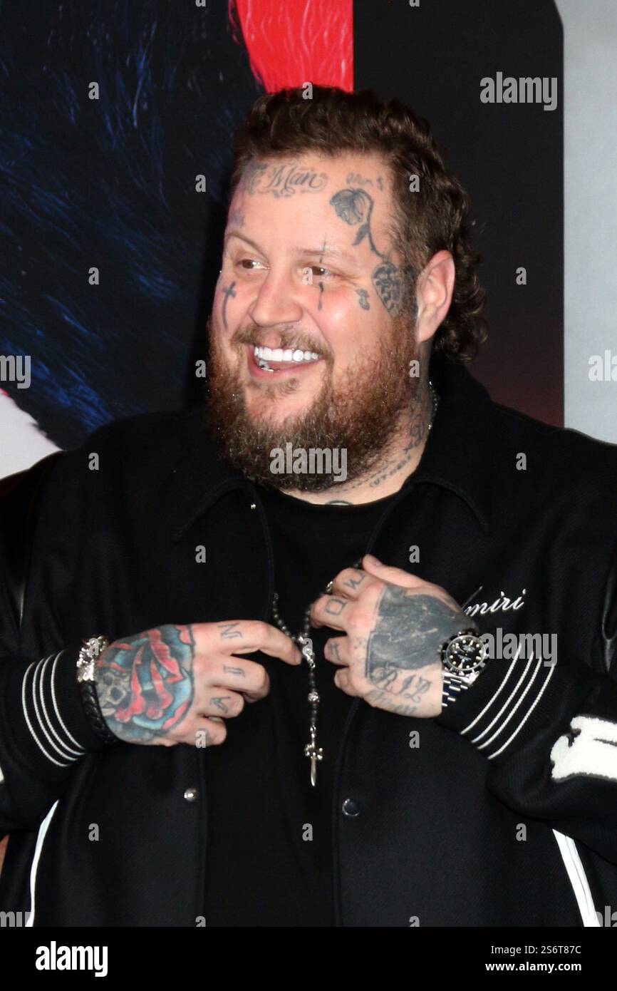 Sonic the Hedgehog 3 LA Premiere at TCL Chinese Theater IMAX on ...