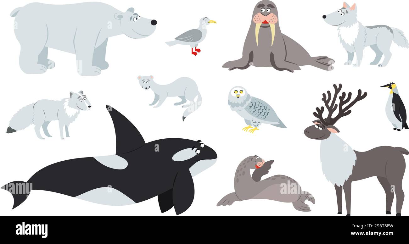 Arctic animals. Polar animal, cartoon cute bear walrus penguin. Flat ...