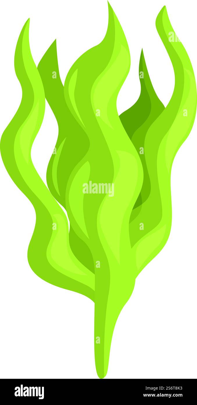 Sea algae icon cartoon vector. Alga plant. Seaweed food. Sea algae icon ...