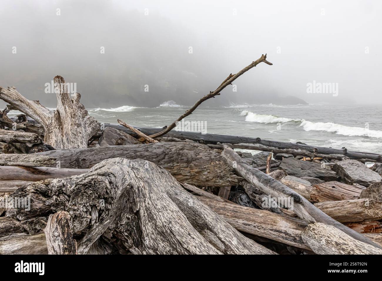 Giant waves and driftwood at Waikiki Beach in Cape Disappointment State ...