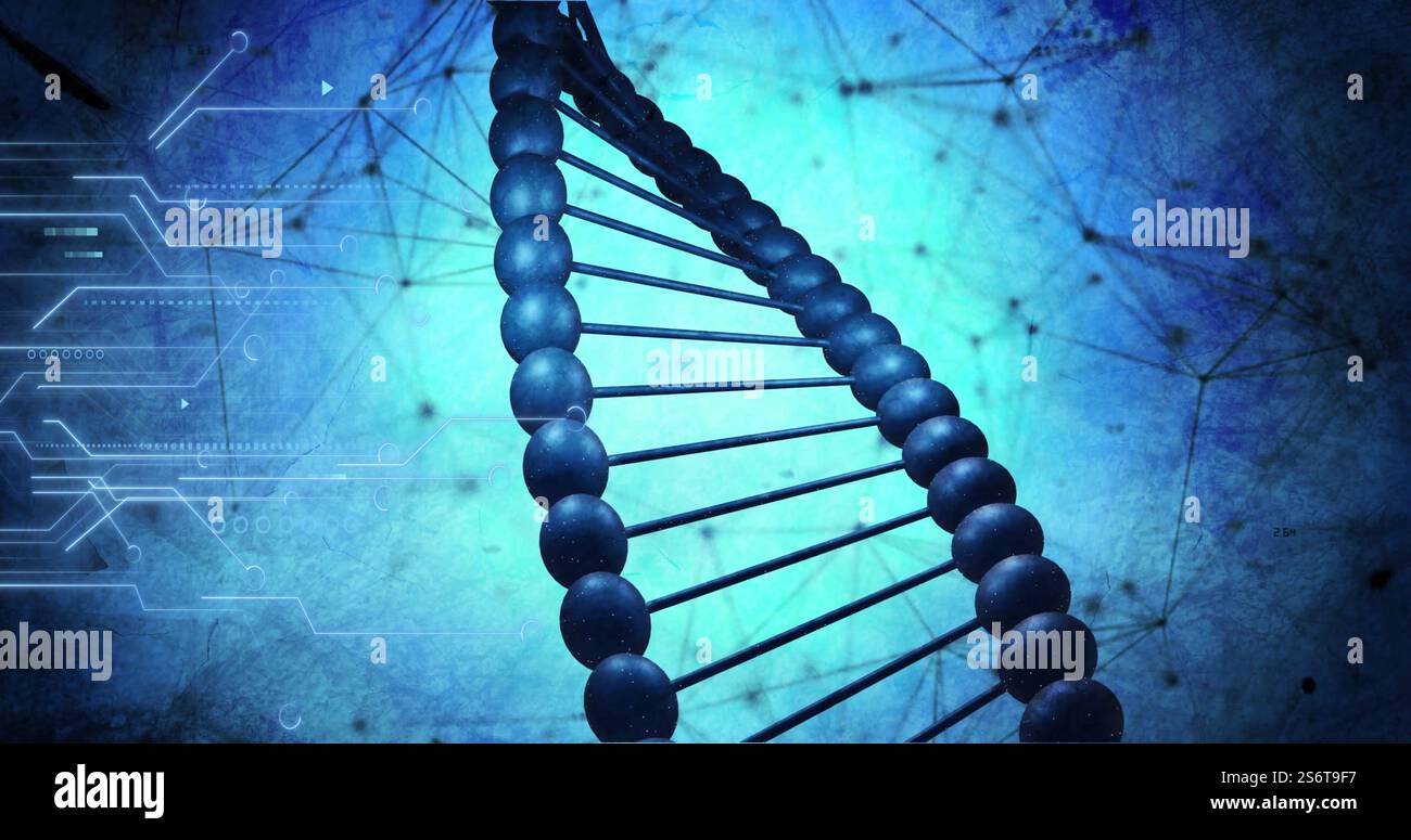 Dna strand network connections scientific hi-res stock photography and ...