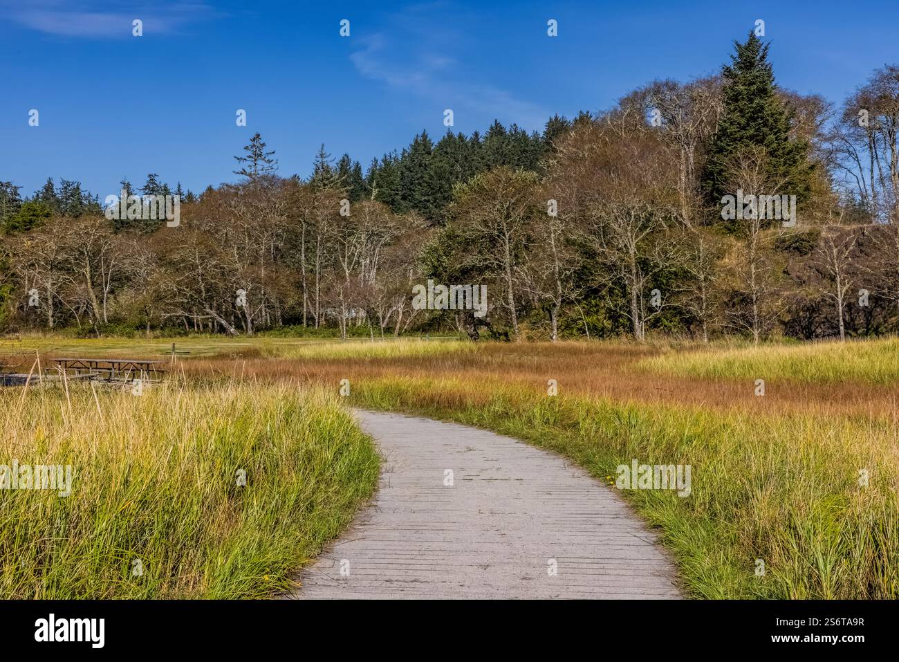 Chinook song of praise hi-res stock photography and images - Alamy