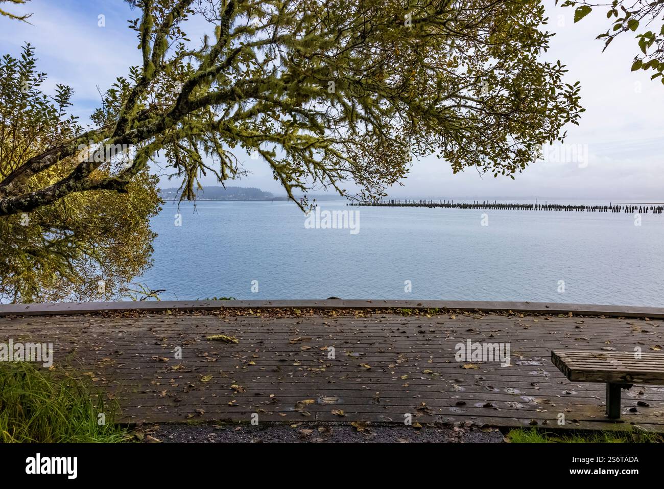Baker Bay overlook, part of Confluence Project in Cape Disappointment ...