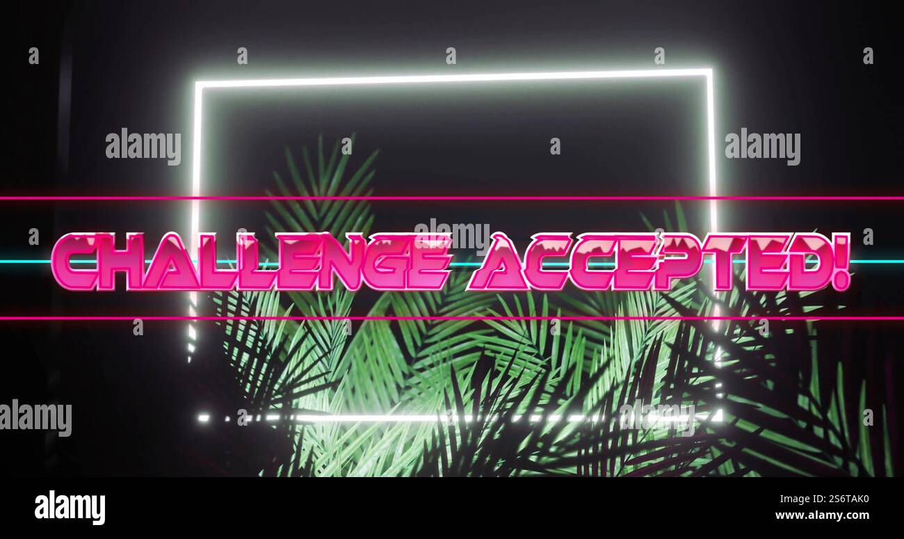 Challenge Accepted text over neon lights and palm leaves image Stock ...