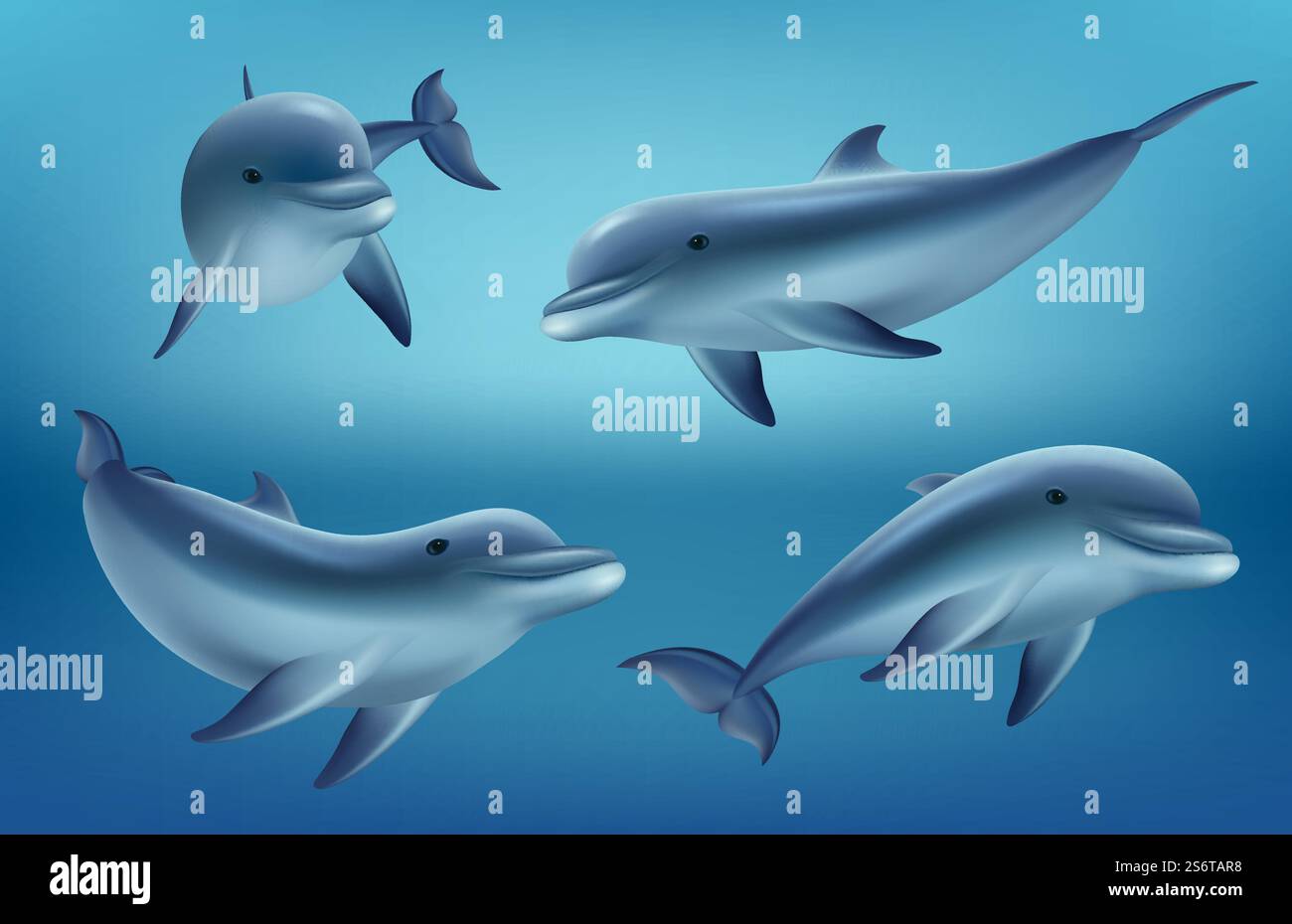 Dolphins realistic. Ocean or marine animals swim fishes with flippers ...