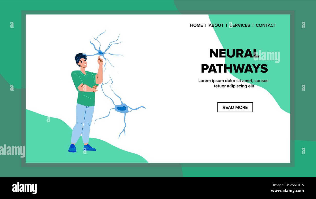 Neural pathways brain. nervous system. human science. pathway biology ...