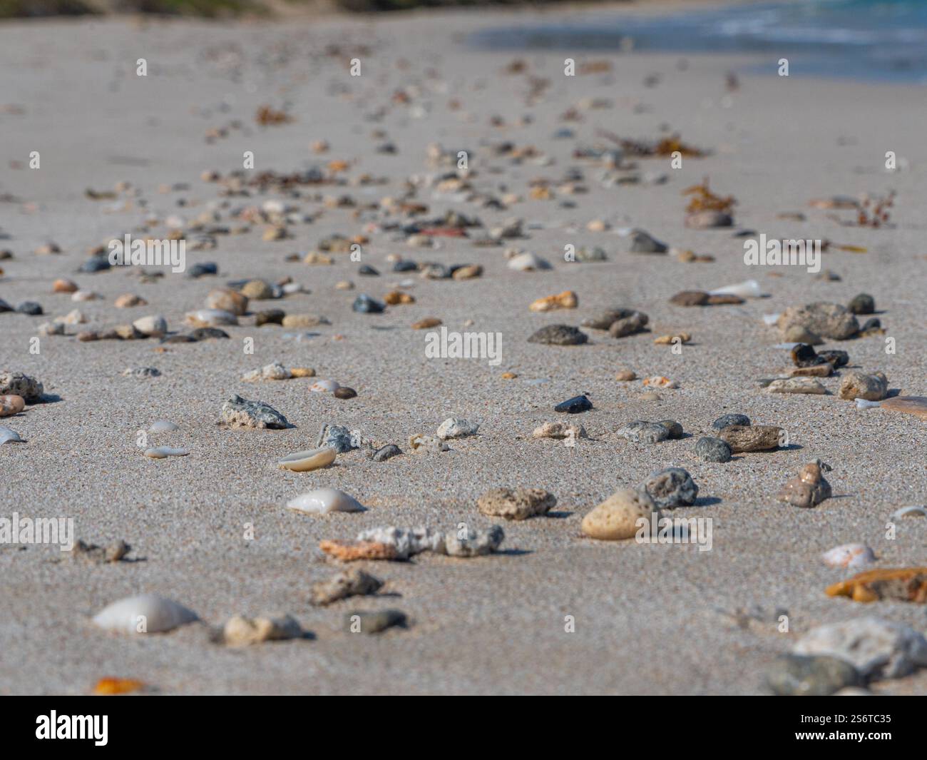 "The Art of Nature Stock Photo - Alamy