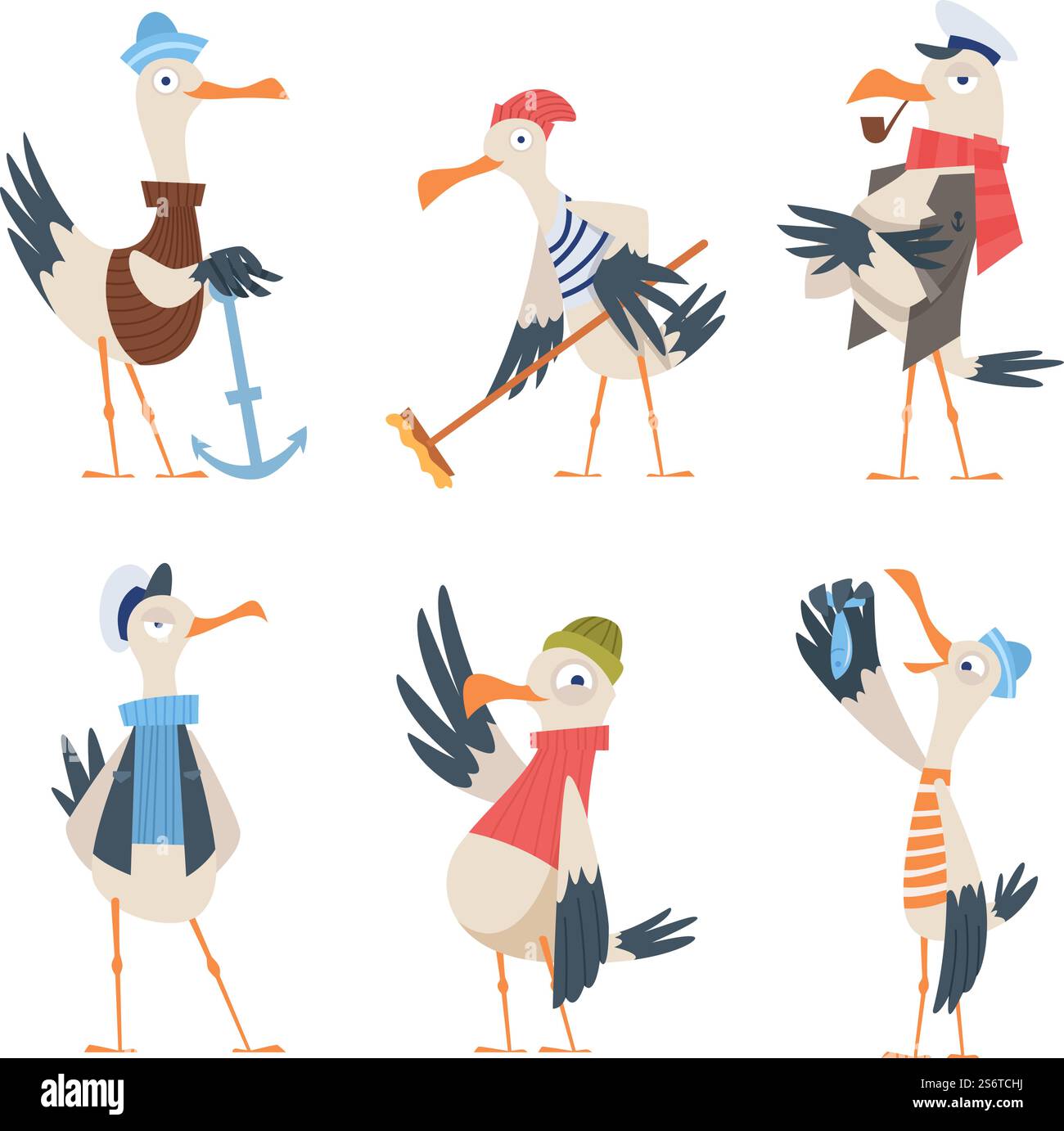 Seagull sailor. Cute funny sea or ocean bird in captain clothes exact ...