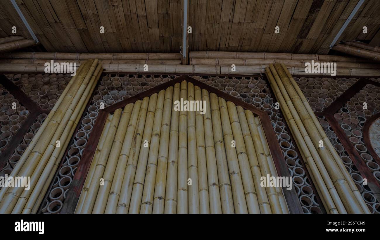 Firecracker vine hi-res stock photography and images - Alamy