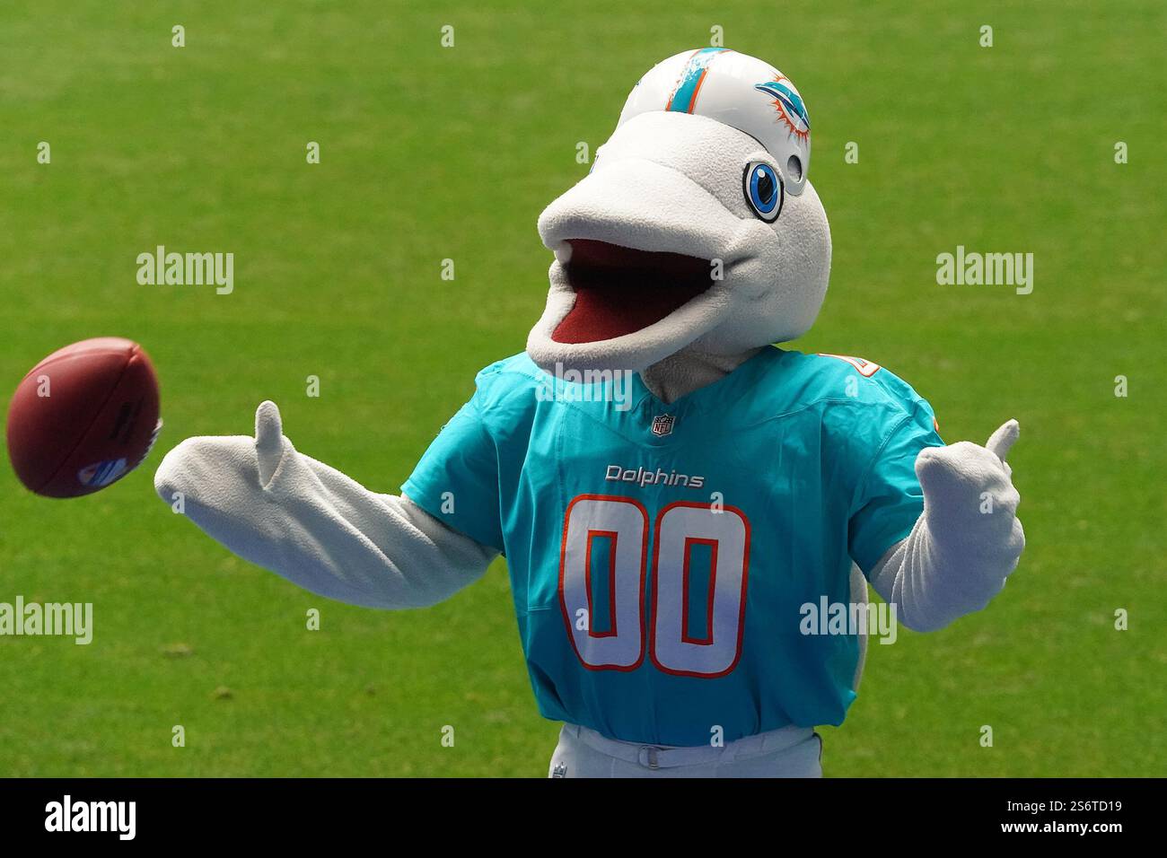 Miami Dolphins’ pet during the announcement of the designated team of ...