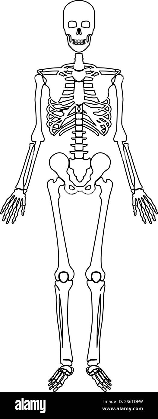 Skeleton human contour outline line icon black color vector ...