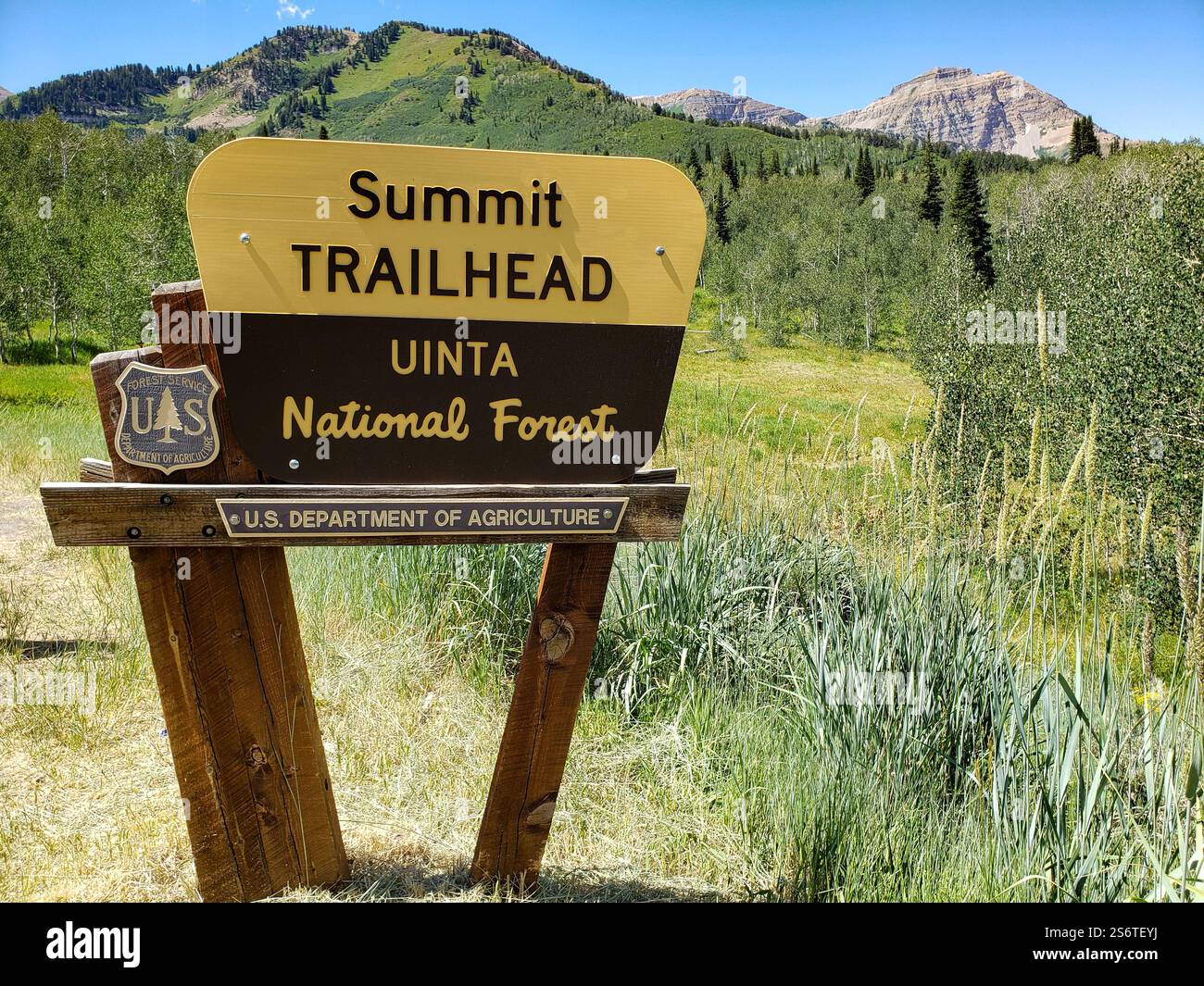 Uinta wasatch cache national forest hi-res stock photography and images ...