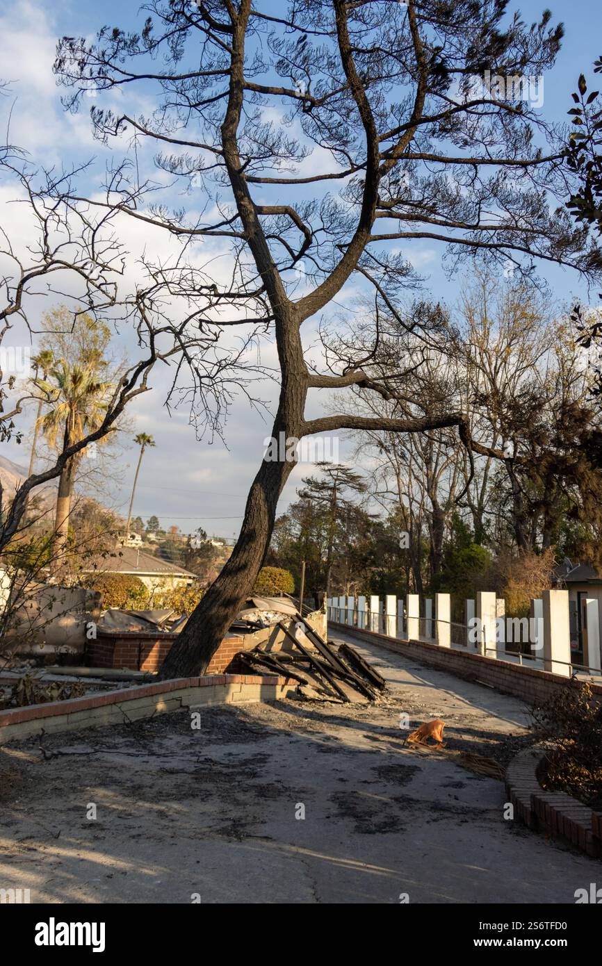 Altadena, California, USA – January 17, 2025: Aftermath of the Eaton ...