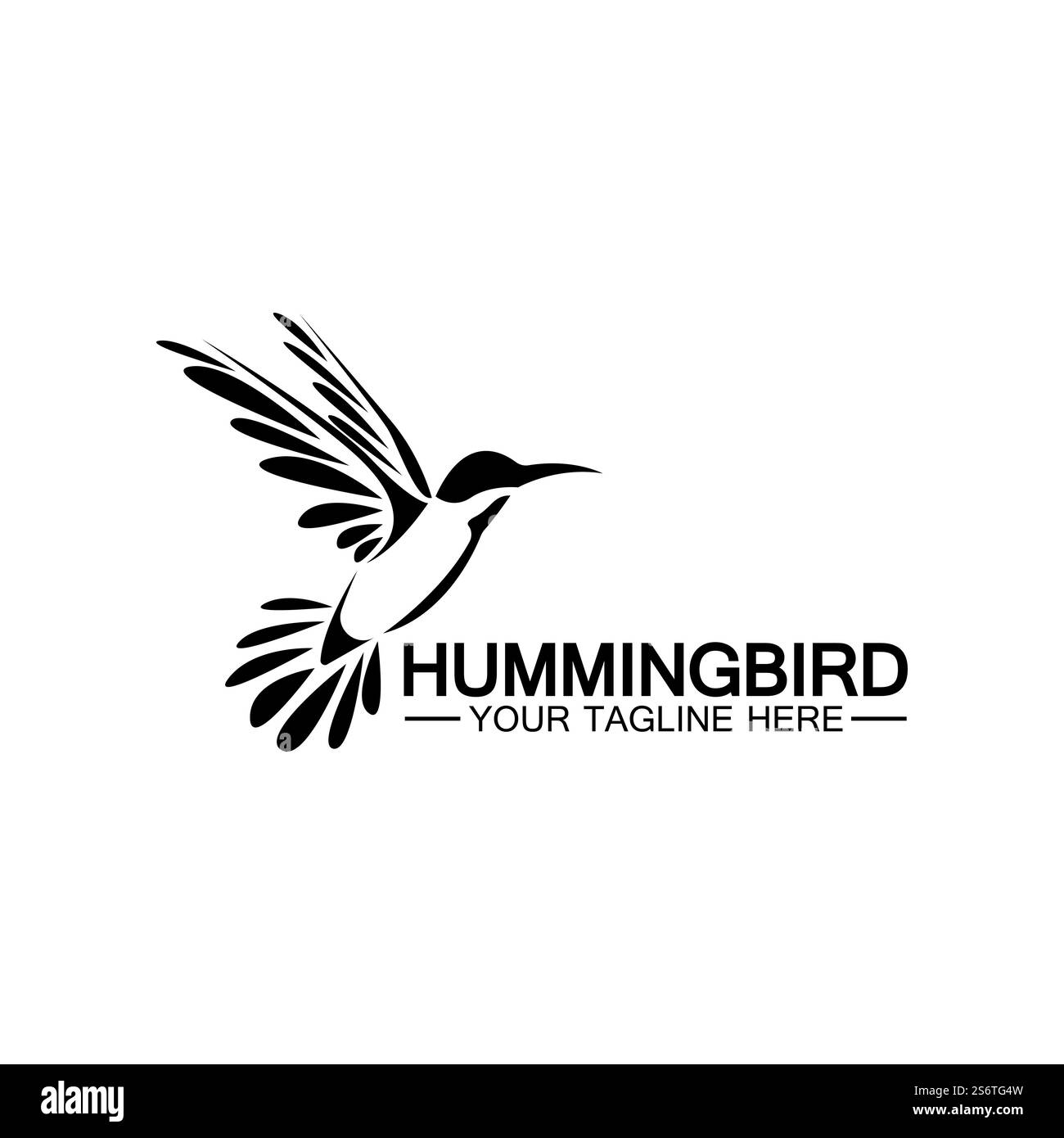 Hummingbird beauty Black and White Stock Photos & Images - Alamy