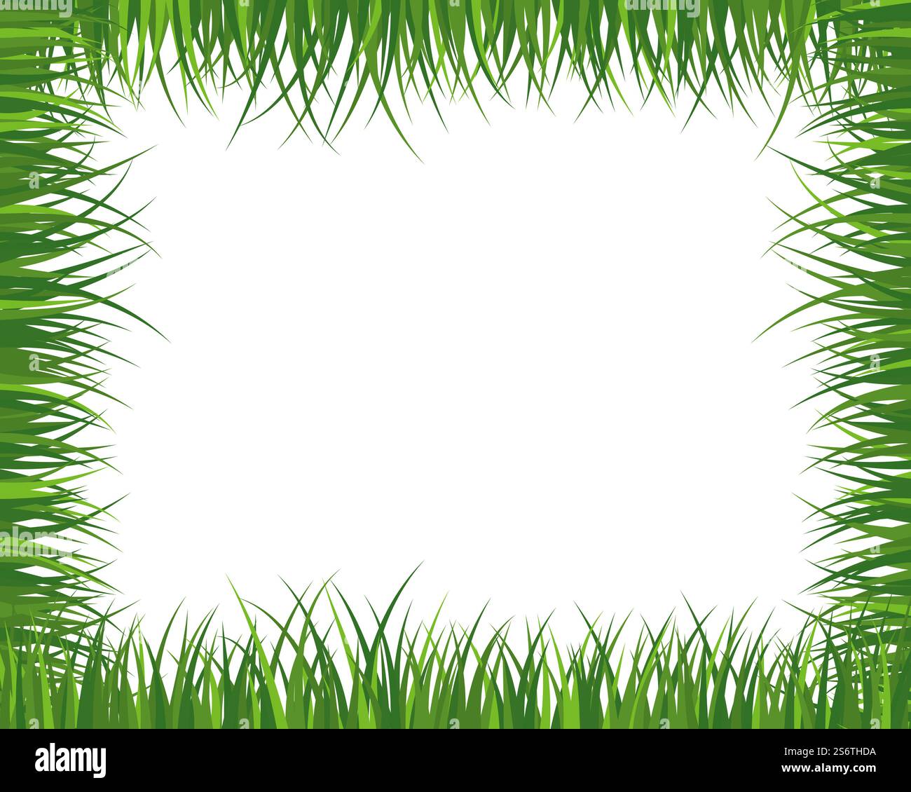 Green spring meadow grass. Fresh color plants, seasonal growth grass ...