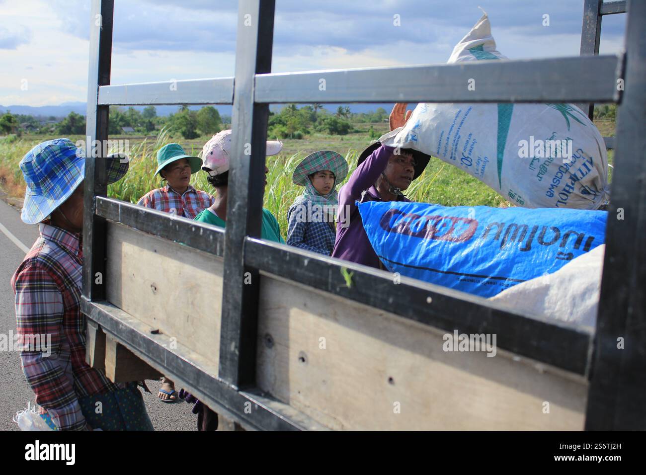 Burmese migrant workers load a truck after harvesting black beans near ...