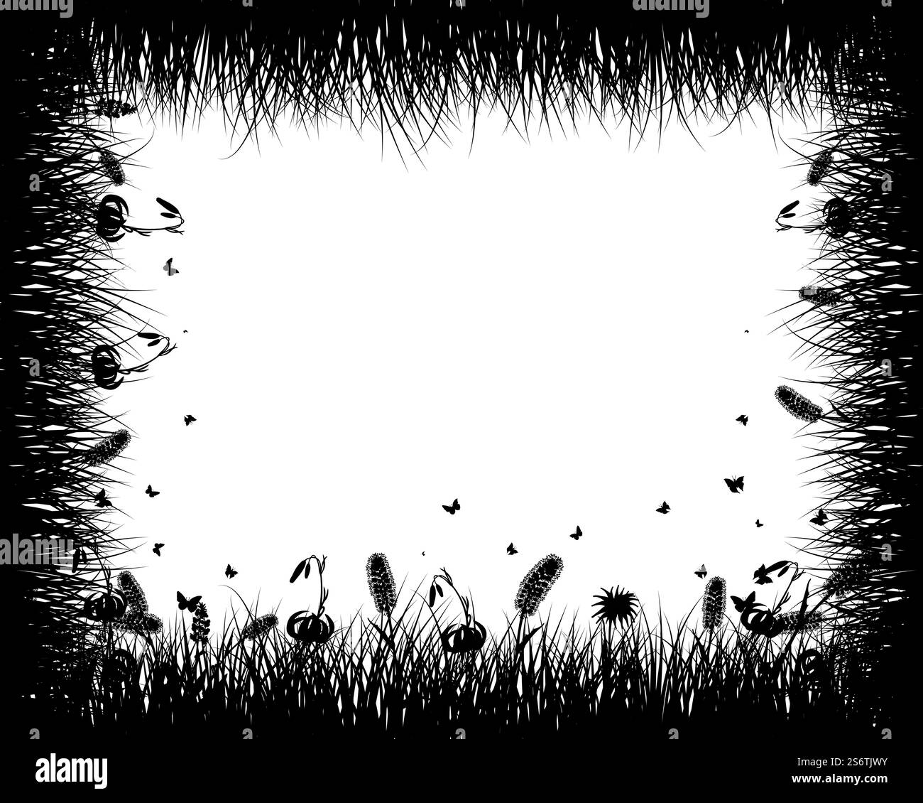 Spring meadow grass. Fresh plants, seasonal growth grass, separated ...